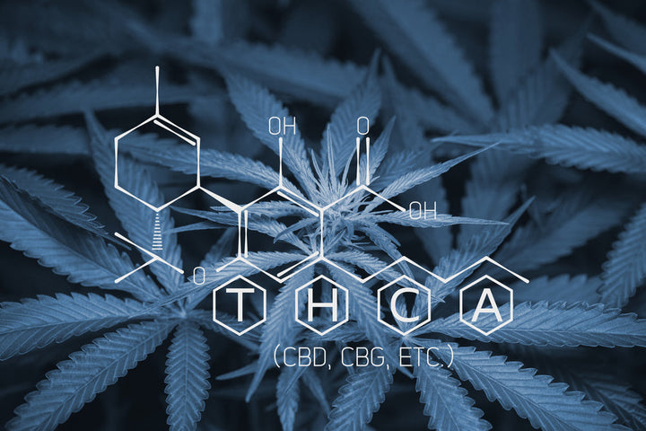 News – Page 5 – THCA Small Buds