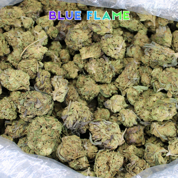Bulk THCA Flower Pounds – THCA Small Buds
