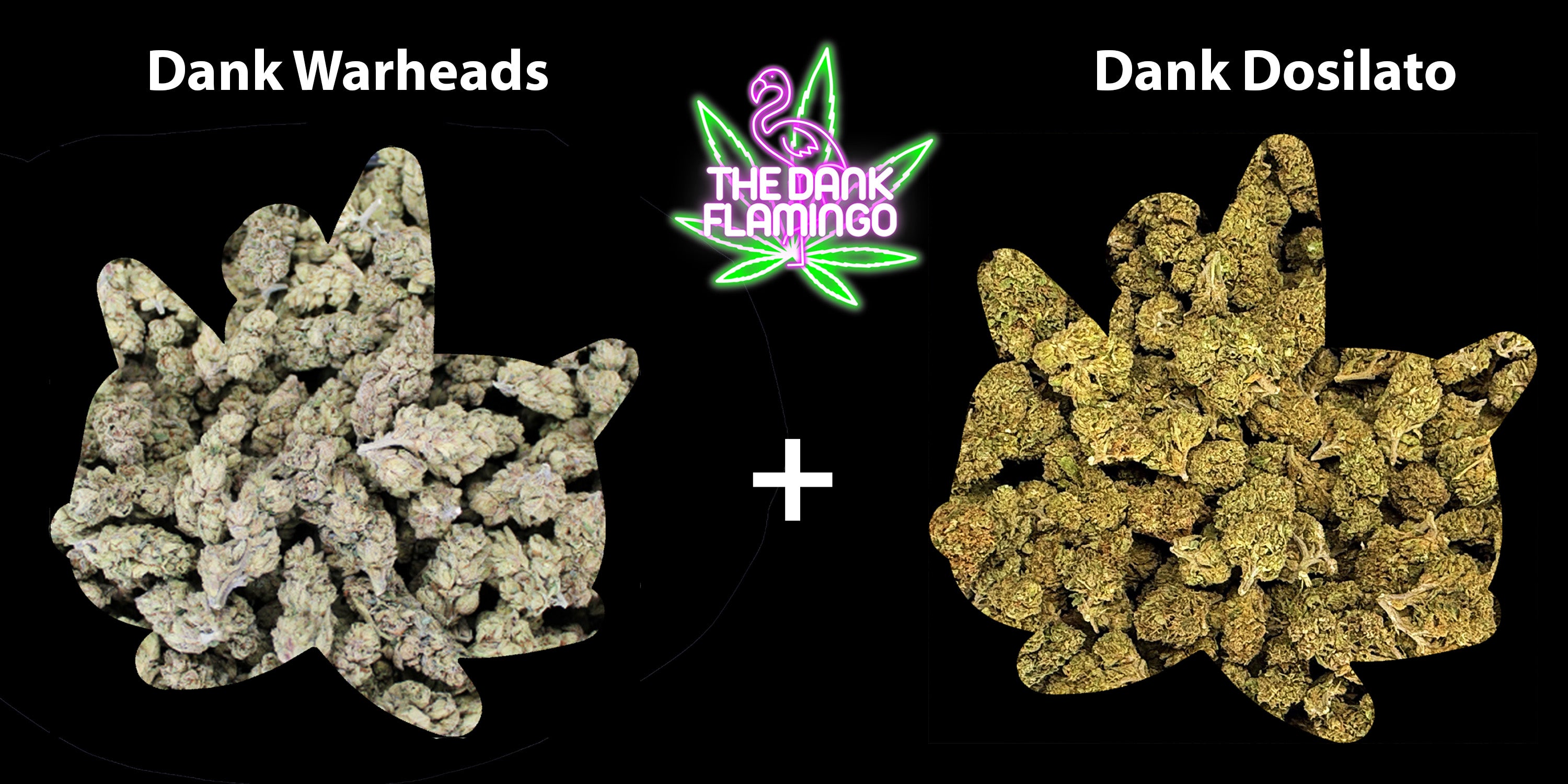 Bulk THCA Flower - 2 For 1 LBS – TT LLC