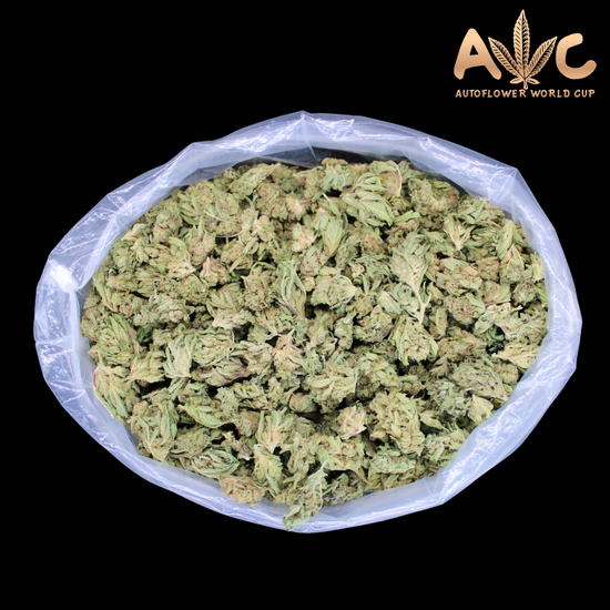 THCA Flower Budget Buds – THCA Small Buds
