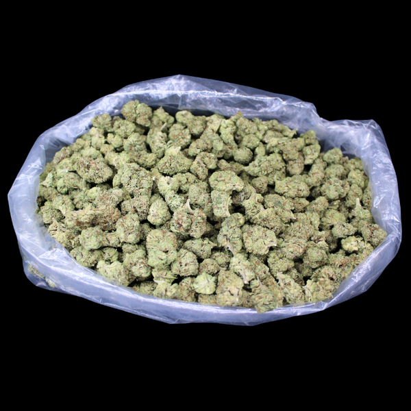 London Pound Cake THCA Flower – THCA Small Buds