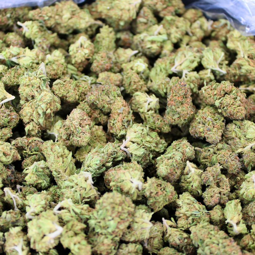 Candy Gas THCA Flower – THCA Small Buds