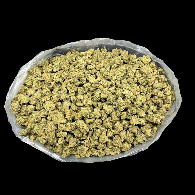 Cheap THCA Flower Quarter Pound – THCA Small Buds