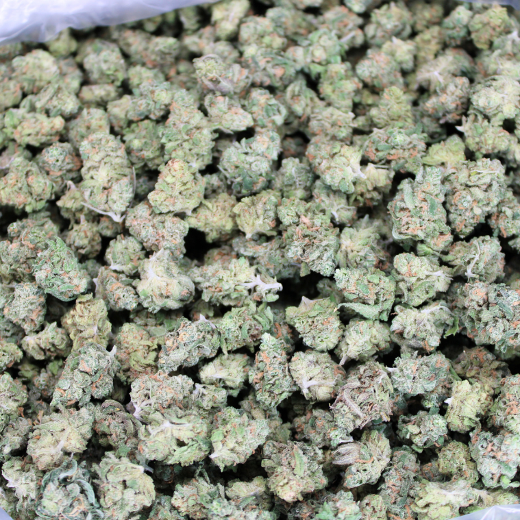 Dank Dream THCA Flower – THCA Small Buds