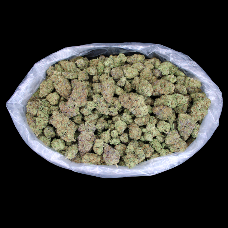 Gary Payton THCA Flower – THCA Small Buds
