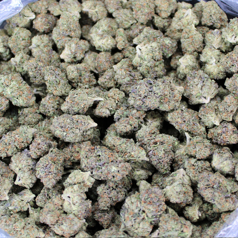 GDP THCA Flower – THCA Small Buds