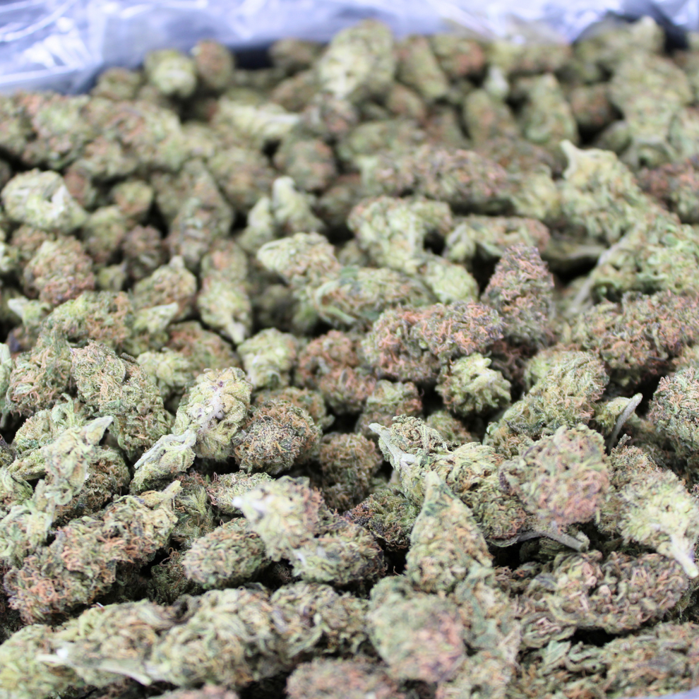 Gorilla Glue THCA Flower – THCA Small Buds