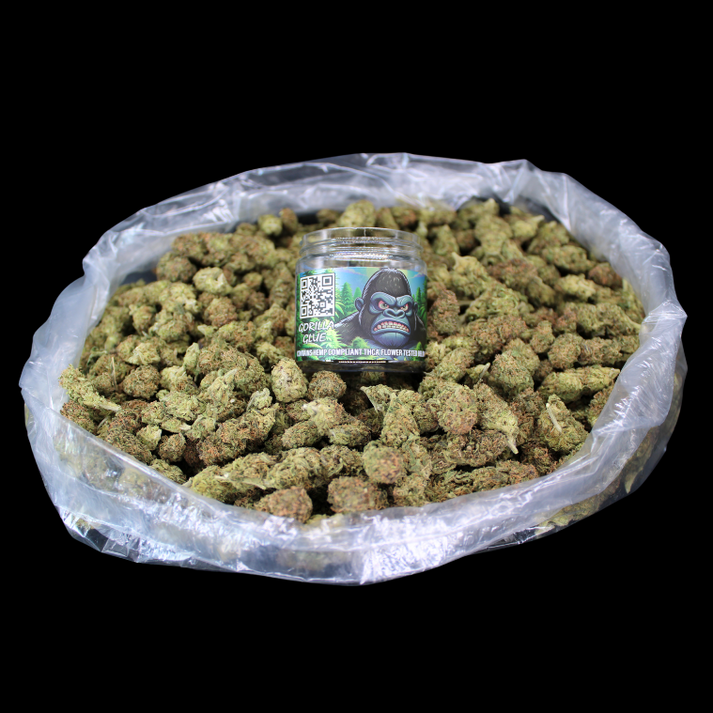 Gorilla Glue THCA Flower – THCA Small Buds