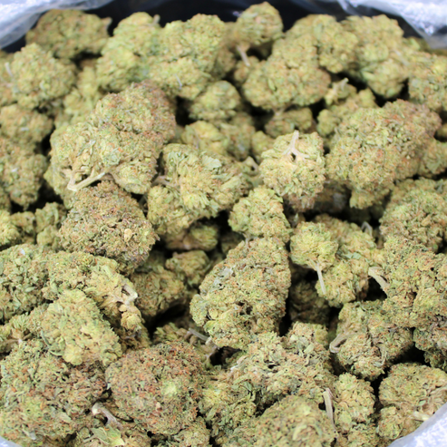 Cheap THCA Flower Pound – THCA Small Buds