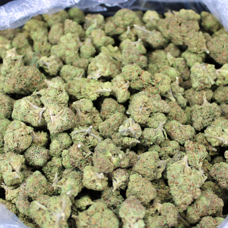 Cheap THCA Flower Quarter Pound – THCA Small Buds
