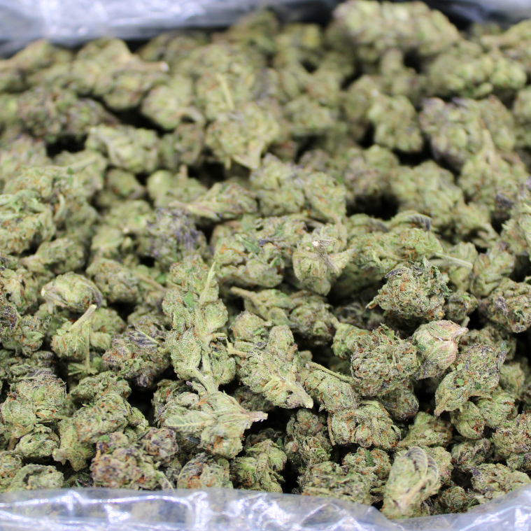 Khalifa Mints THCA Flower – THCA Small Buds