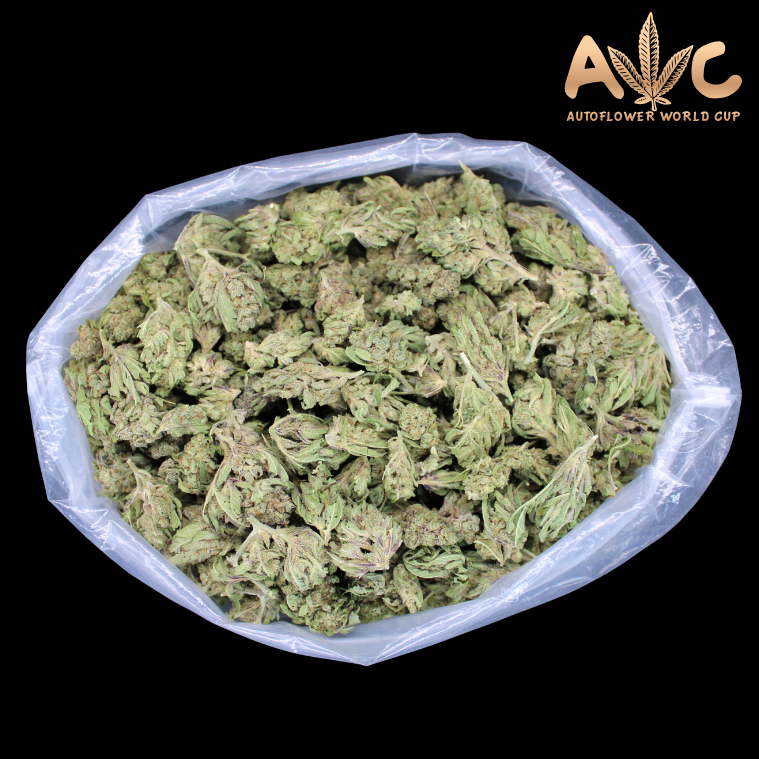 THCA Flower Budget Buds – THCA Small Buds