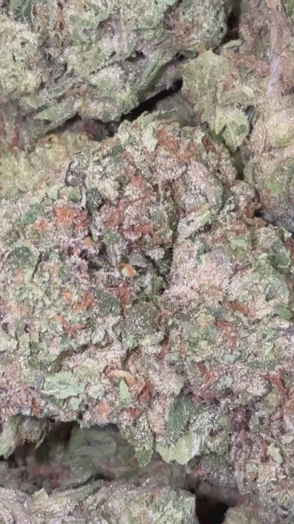 Larry Bird Gelato THCA Flower – THCA Small Buds