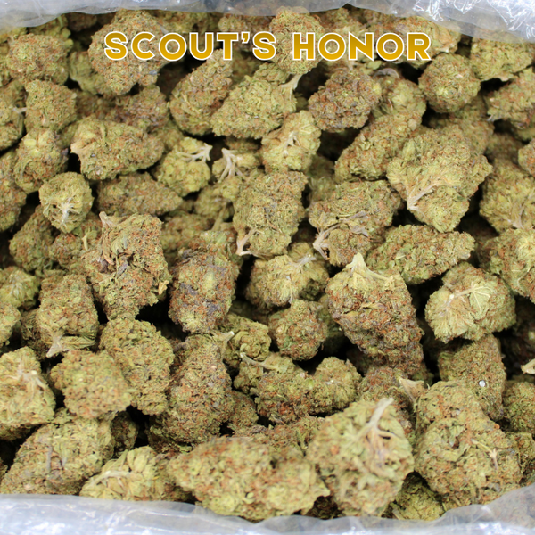 Bulk THCA Flower Pounds – THCA Small Buds