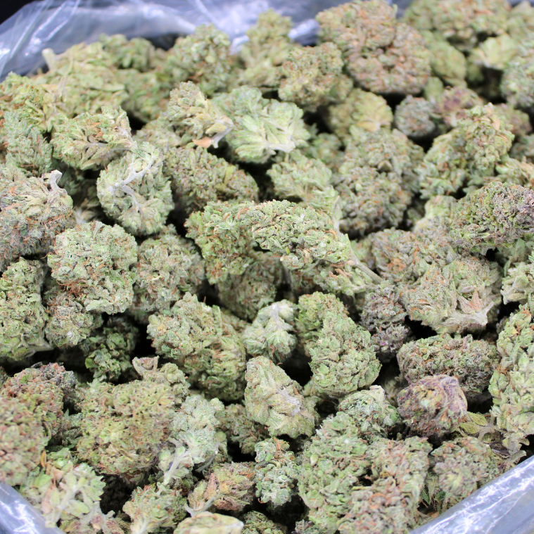 Sour Diesel THCA Flower – THCA Small Buds