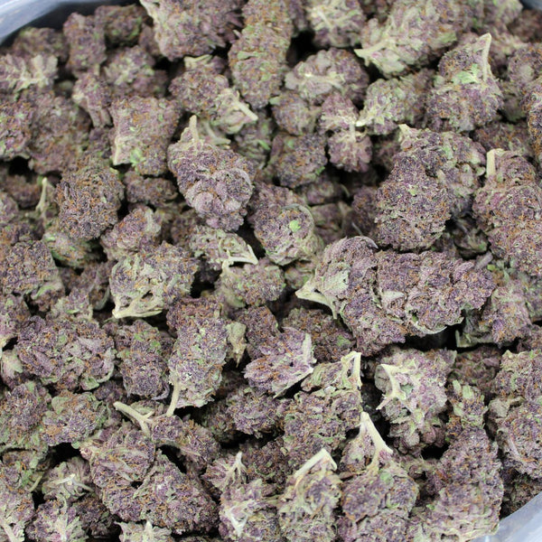 Tropicana Cherry THCA Flower – THCA Small Buds