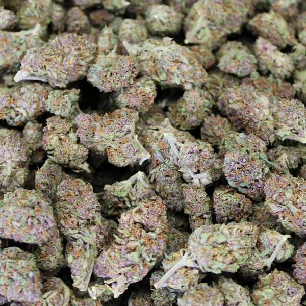 Tropicana Cookies Greenhouse THCA Flower – THCA Small Buds