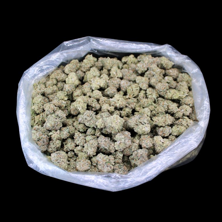 White Widow Indoor THCA Flower – THCA Small Buds
