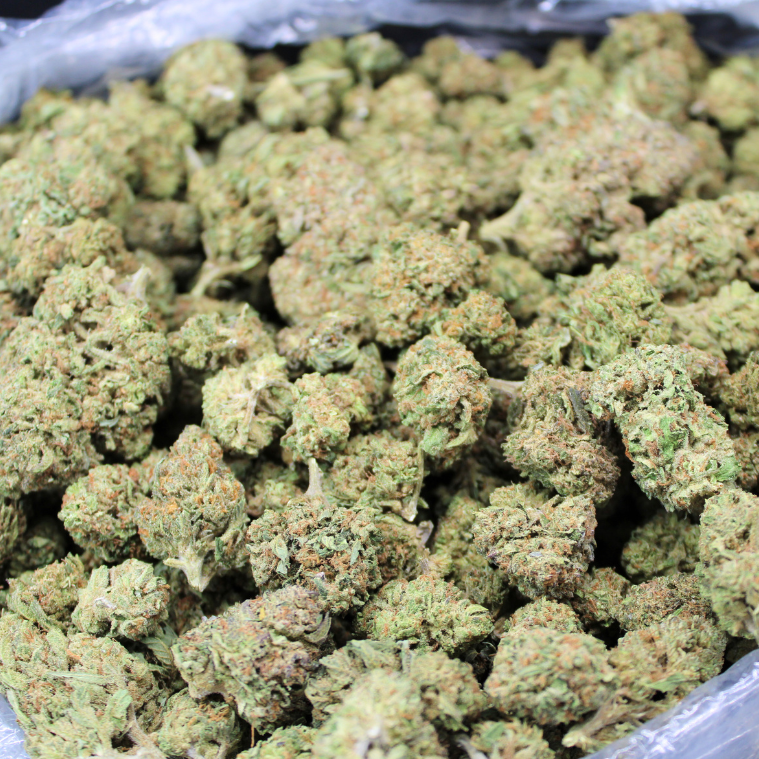 Zookies THCA Flower – THCA Small Buds